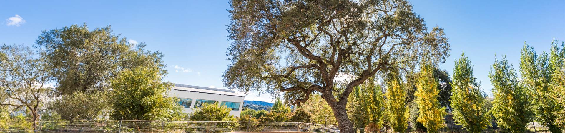 Careers | Featured Offices | Broadcom