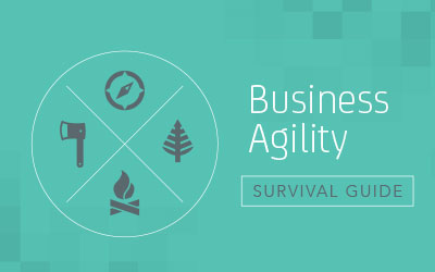 Rally Software: Introducing the Agile Platform